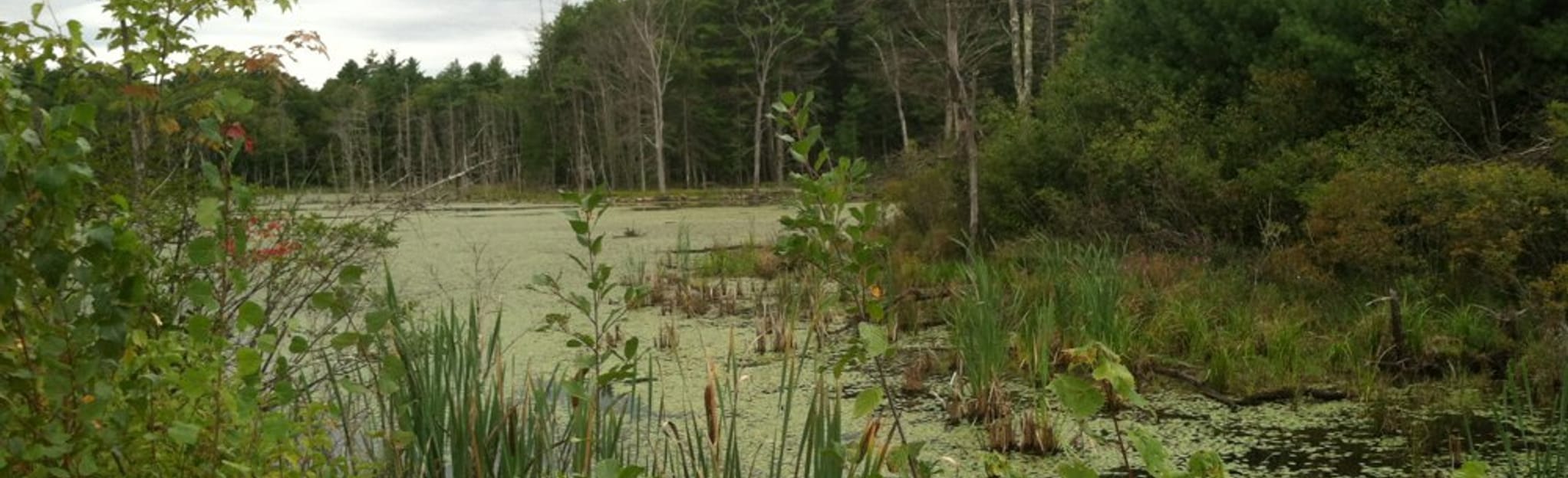 Rockingham Recreational Rail Trail Newfields Loop, New Hampshire - 41 ...