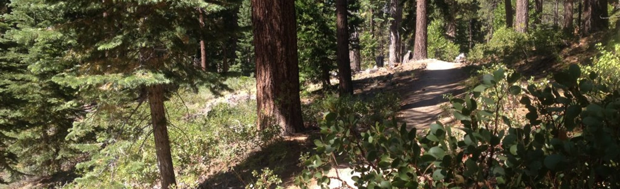 Power Line Trail to Freel Peak, California - 15 Reviews, Map | AllTrails