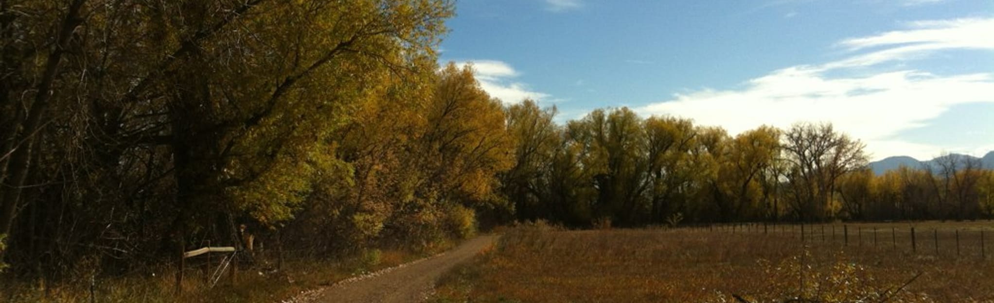 Cottonwood Trailhead to Boulder Lobo Trail: 211 Reviews, Map - Colorado ...