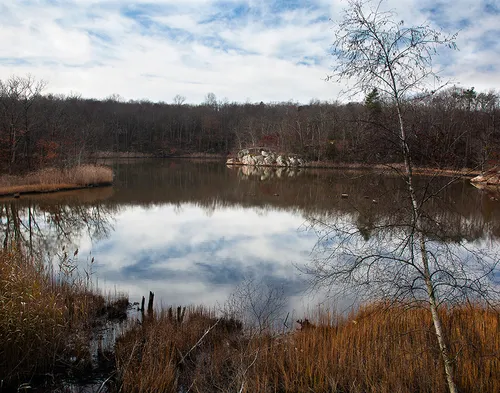 10 Best Hikes and Trails in Cockaponset State Forest | AllTrails