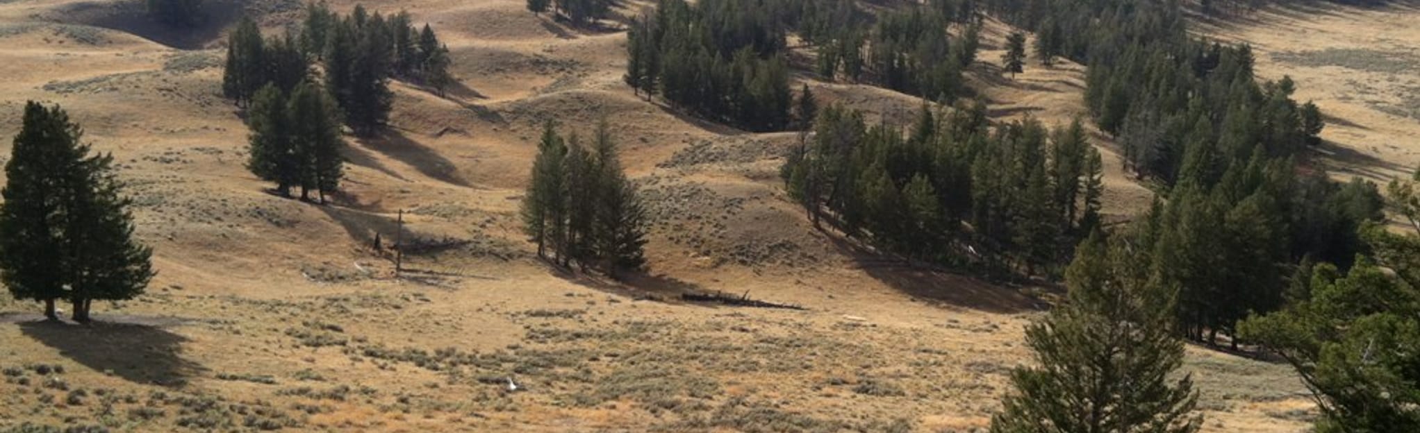 Specimen Ridge and Amethyst Mountain Trails, Montana - 79 Reviews, Map ...