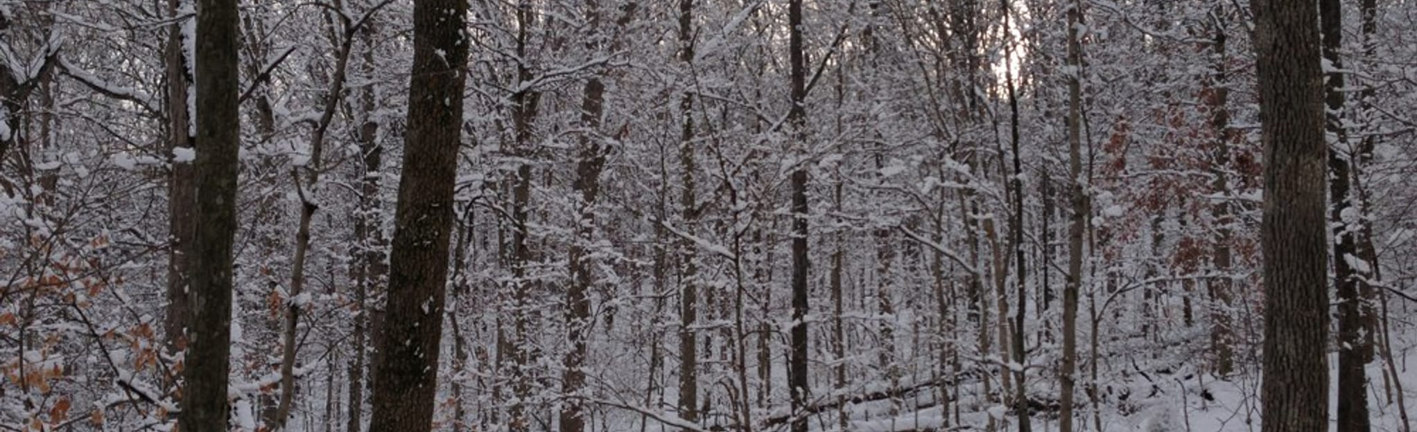 Cedar Lake Trail, Illinois - 75 Reviews, Map | AllTrails