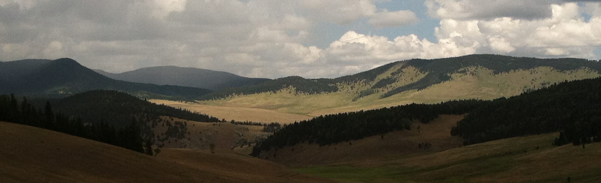 Valle Vidal: Costilla to Cimarron: 12 Reviews, Map - New Mexico | AllTrails