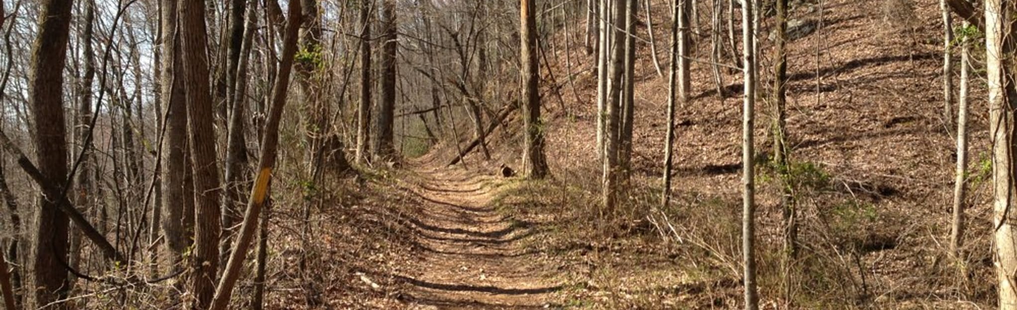 Blue Ridge Railroad Historical Trail, South Carolina - 199 Reviews, Map ...