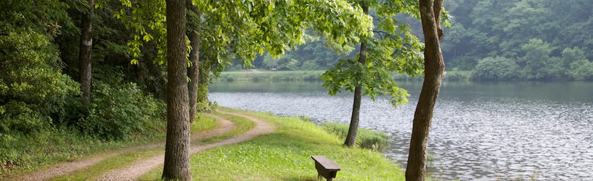 Lake Winfield Scott Trail, Georgia - 72 Reviews, Map | AllTrails