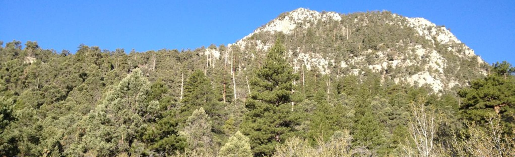 Fletcher Canyon Trail, Nevada - 2,304 Reviews, Map | AllTrails