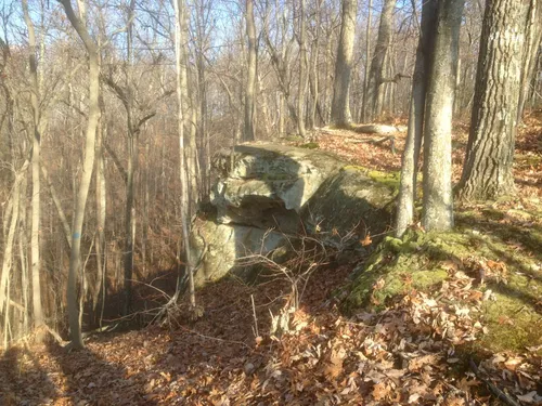 10 Best Walking Trails in Kanawha State Forest | AllTrails