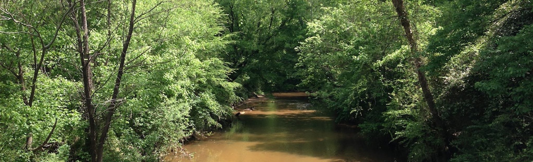 Blueway Trail - Georgia | AllTrails