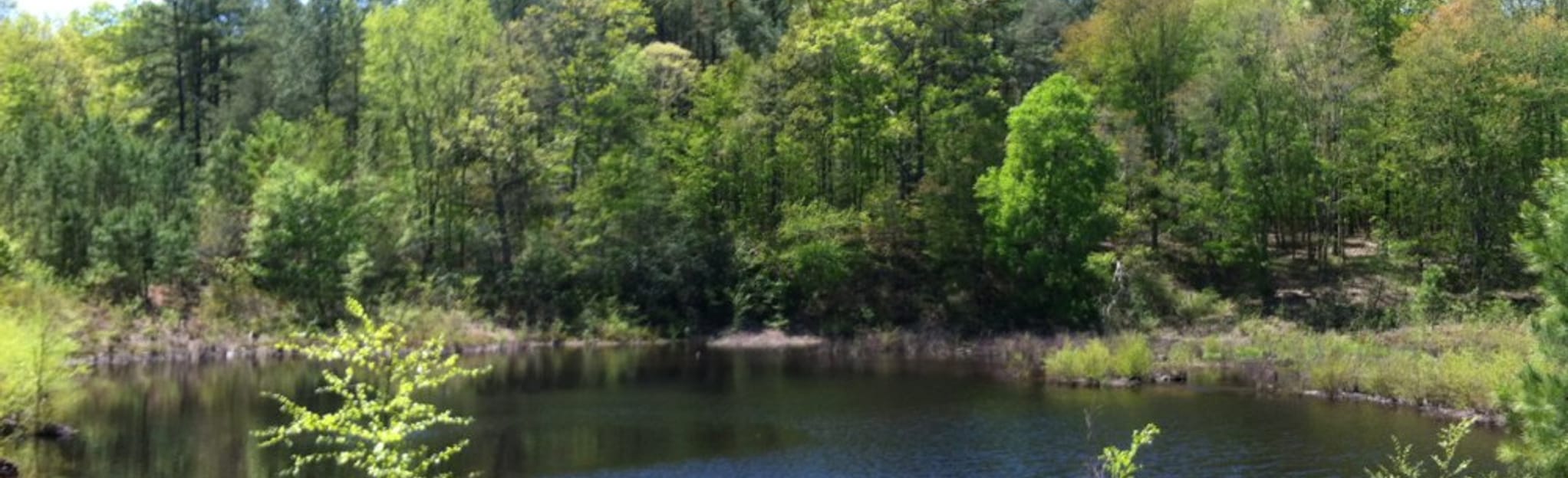 Elk Neck State Forest Trails: 190 Reviews, Map - Maryland | AllTrails