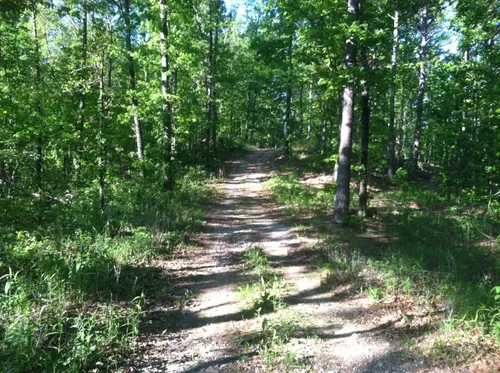 10 Best Short Trails in Salem | AllTrails