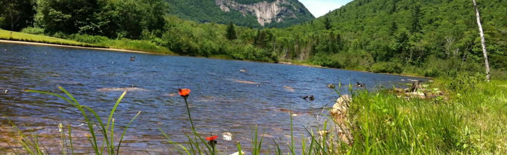 Crawford and Franconia Notches Scenic Drive: Glen to Lincoln, New ...