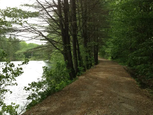 10 Best Hikes and Trails in Naugatuck State Forest | AllTrails