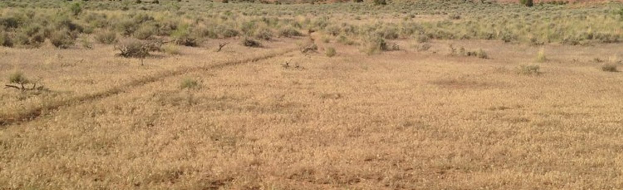 Racetrack Loop: 27 Reviews, Map - Utah | AllTrails