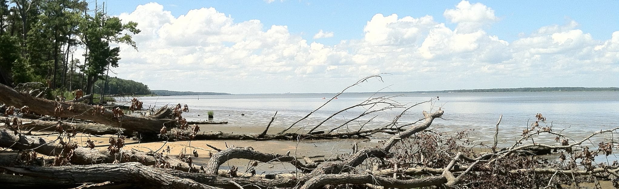 Mattaponi Trail to Fossil Beach: 259 Reviews, Map - Virginia | AllTrails