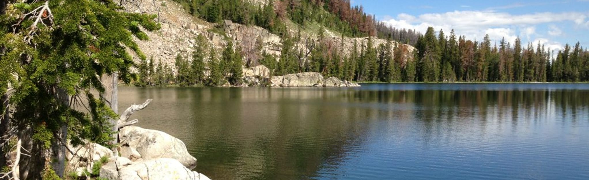 Goodwin Lake Trail, Wyoming - 320 Reviews, Map | AllTrails