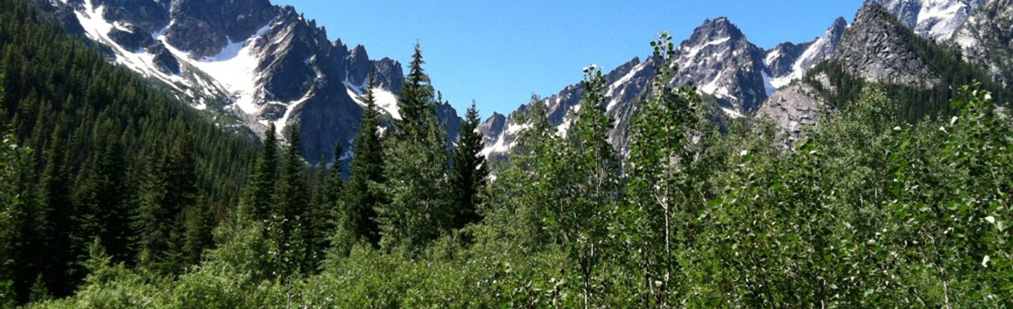 Lake Stuart Trail: 560 Reviews, Map - Washington | AllTrails
