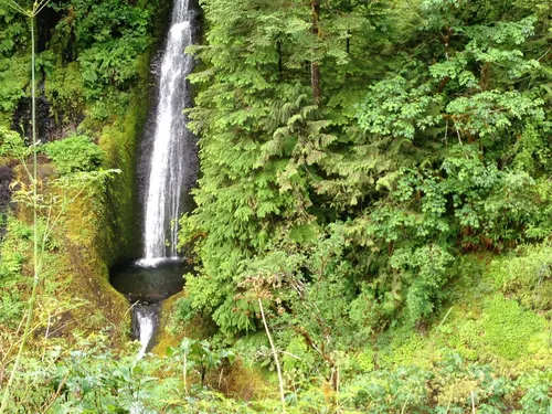 10 Best Hikes and Trails in Mount Hood National Forest | AllTrails