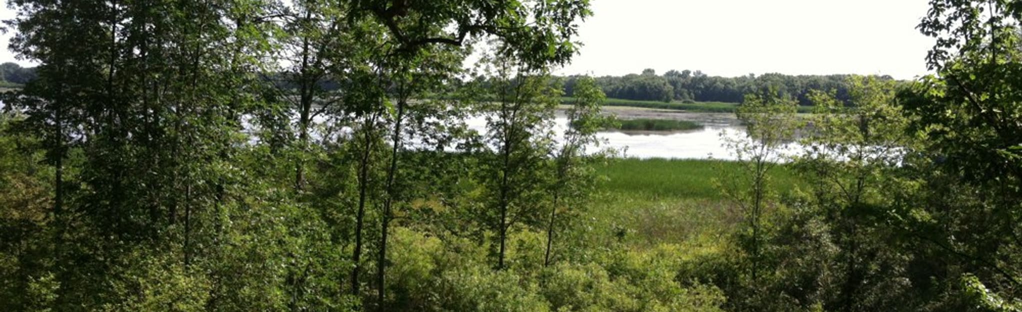 Tobico Marsh Trail, Michigan - 552 Reviews, Map | AllTrails