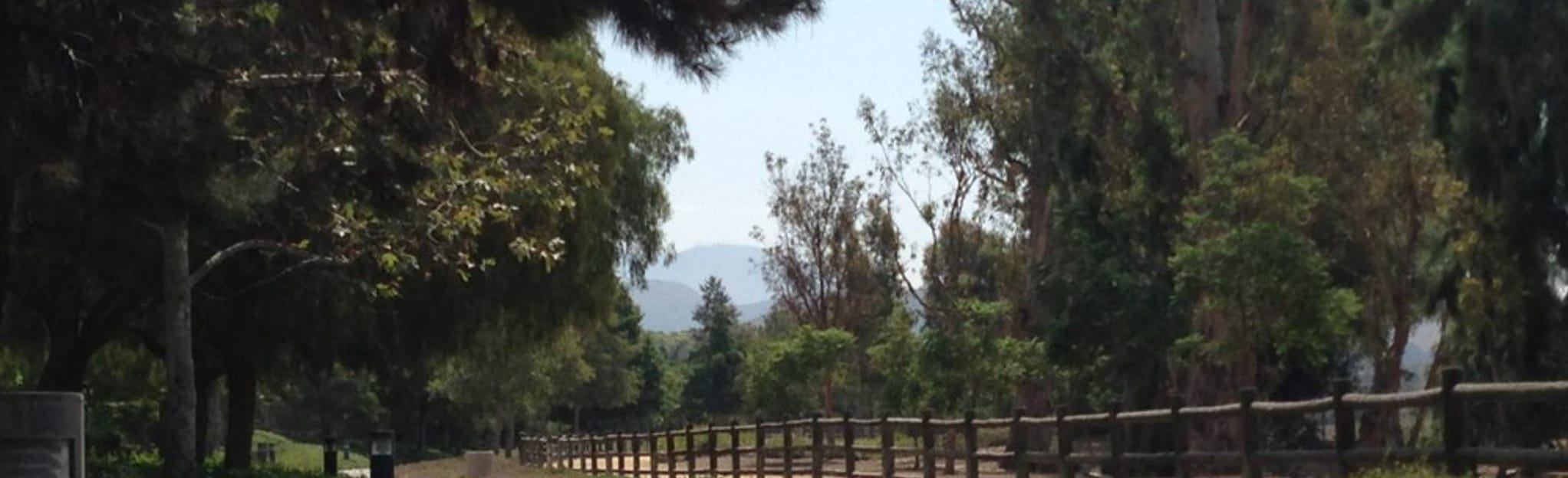 Hicks Canyon Trail: 334 foto - California | AllTrails