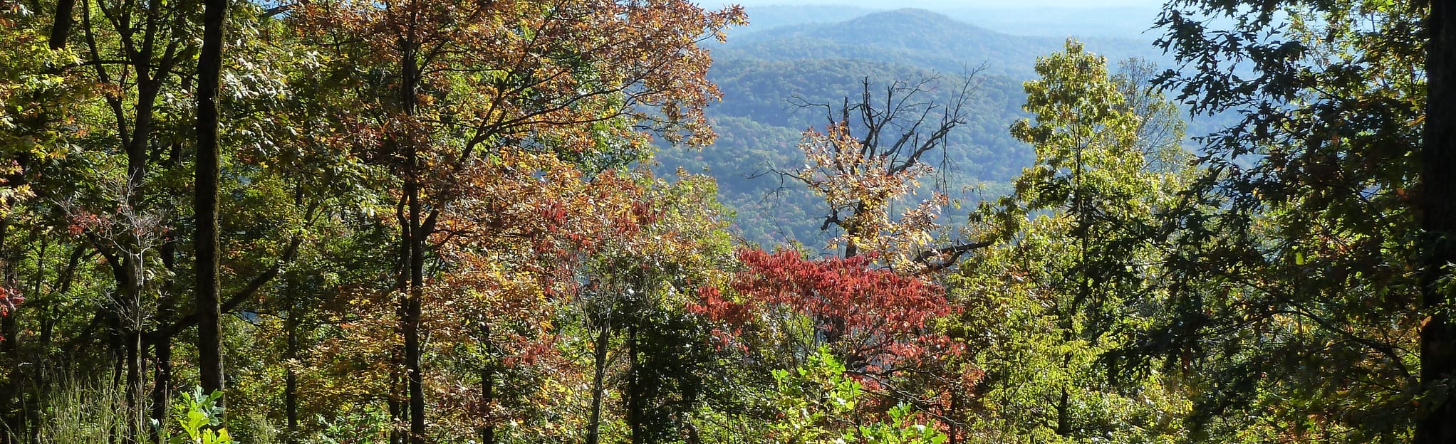 Len Foote and Appalachian Approach Loop, Georgia - 1,357 Reviews, Map ...
