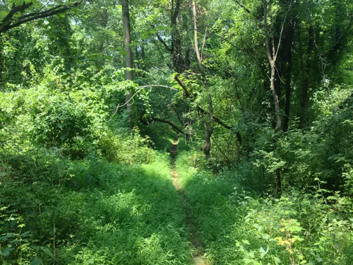 Best Hikes and Trails in Peter and Victoria Skena Nature Reserve ...