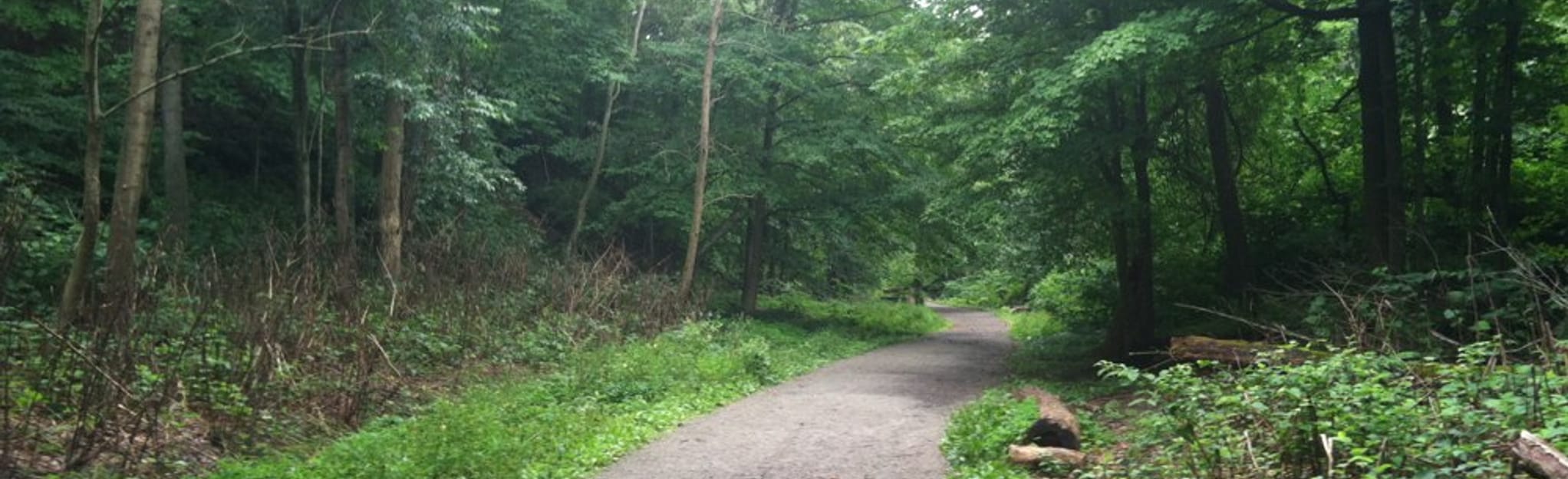 Frick Park Tour Loop Trail: 914 Reviews, Map - Pennsylvania | AllTrails