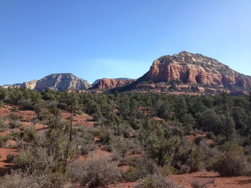 10 Best Hikes and Trails in Coconino National Forest | AllTrails