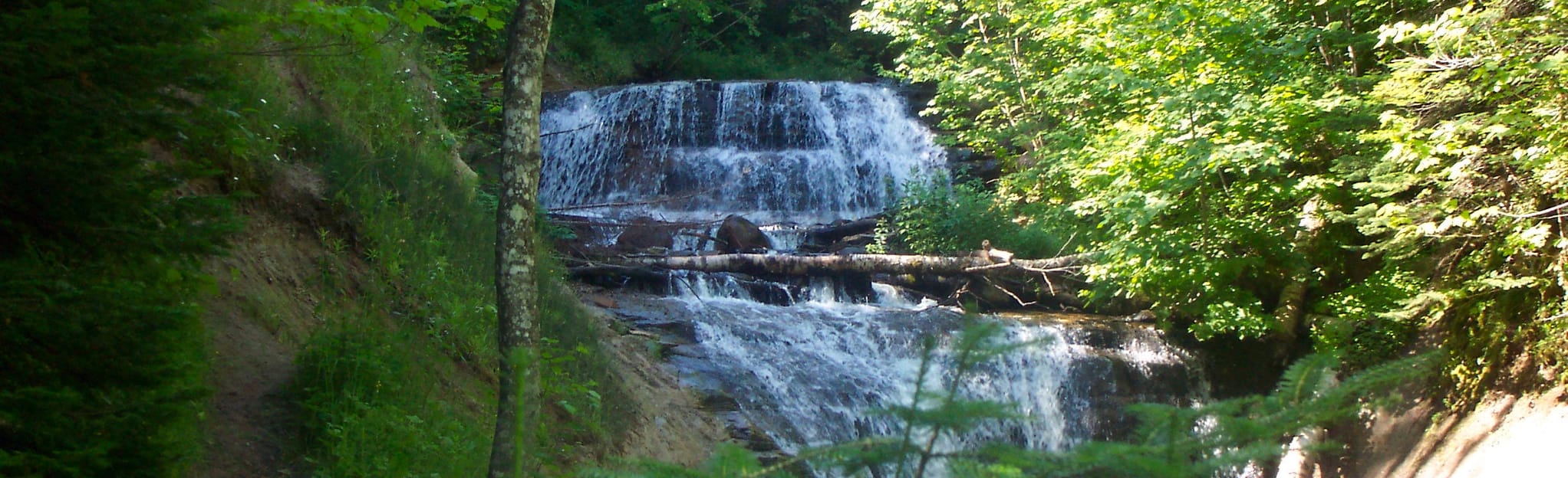 Sable Falls Trail: 493 foto's - Michigan | Wandelen - AllTrails