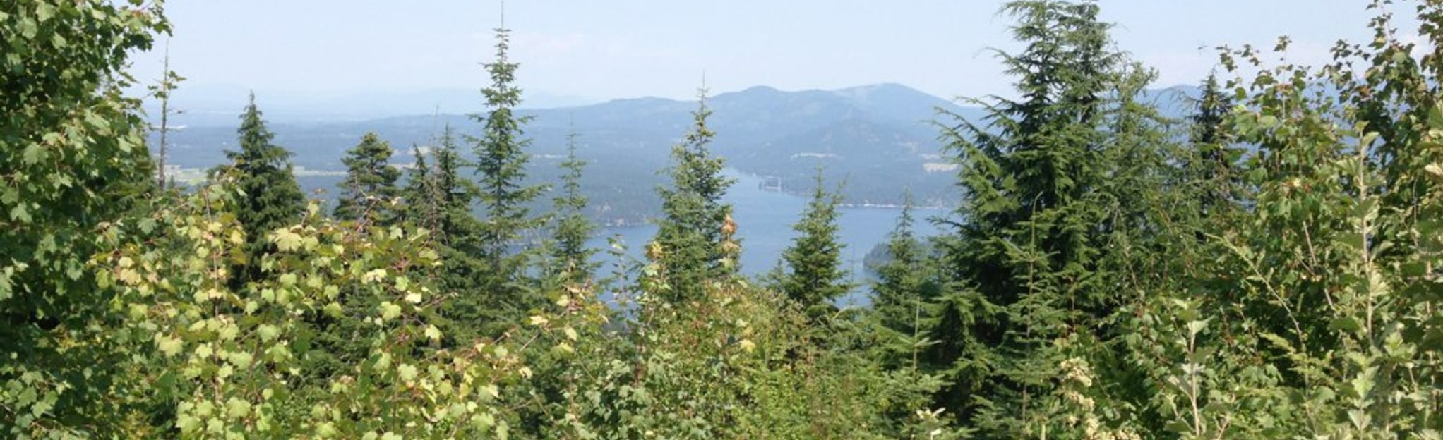 Canfield Mountain Trails 8, Penn, 7, D, A, and Cave Loop: 812 fotos ...