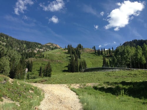 2023 Best Views Trails in Snowbird Ski Resort | AllTrails