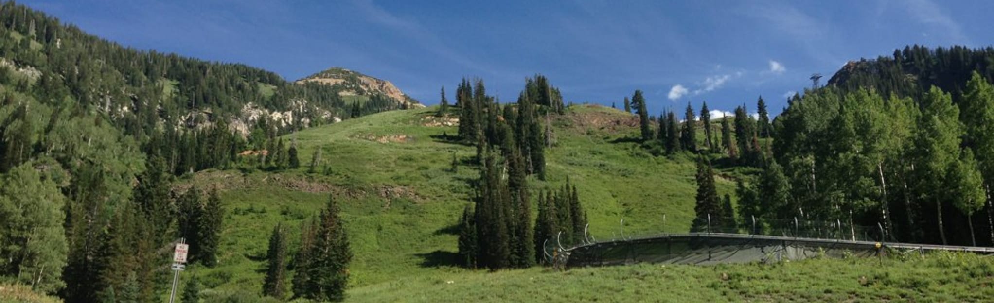 The Ridges of Albion Basin, Utah - 8 Reviews, Map | AllTrails