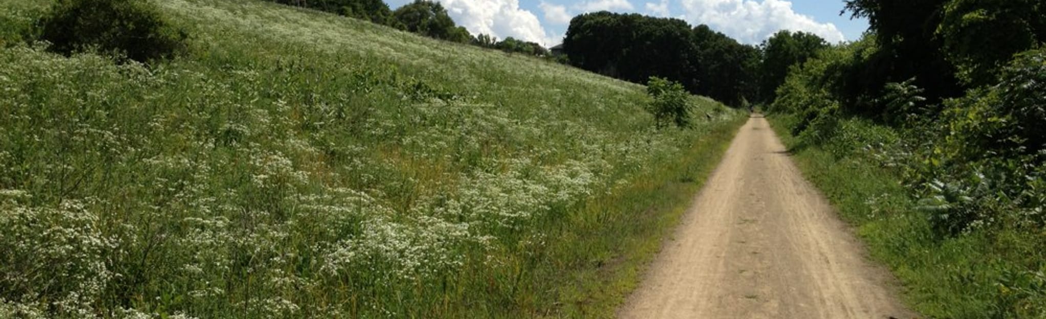 Great River State Trail, Wisconsin - 108 Reviews, Map | AllTrails