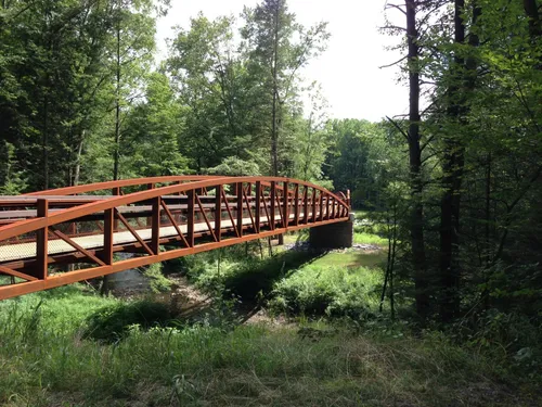 2023 Best 10 Trails and Hikes in Pine Grove | AllTrails