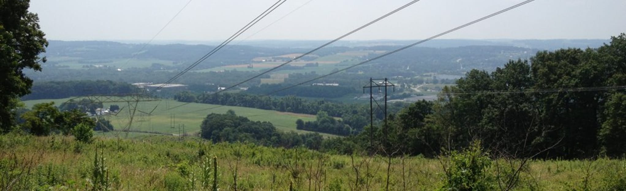 Rocky Ridge Trail 1 Loop, Pennsylvania - 218 Reviews, Map | AllTrails