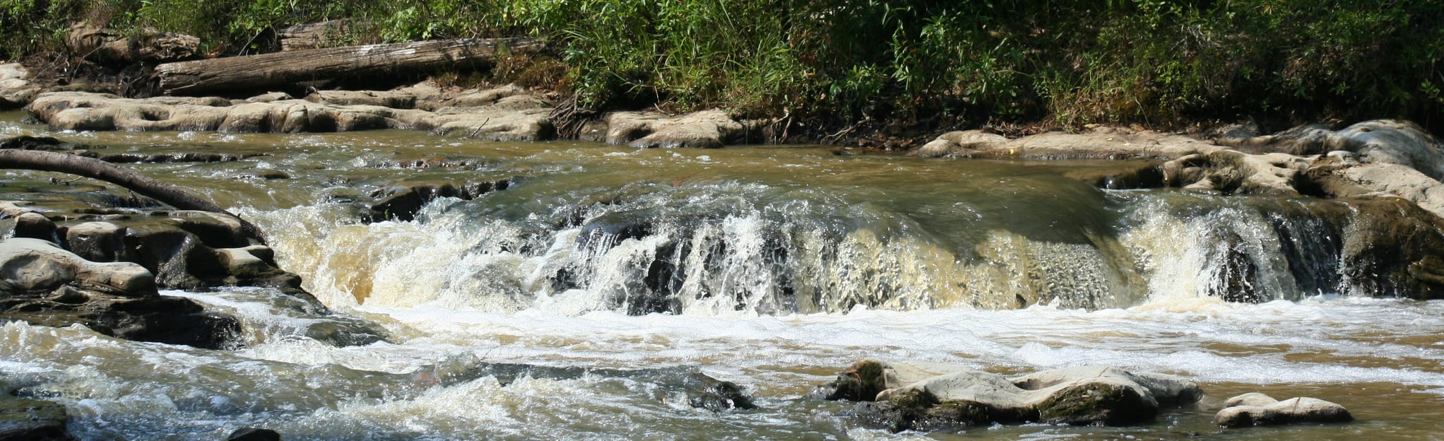 West Fork of the Choctawhatchee River Paddling Route, Alabama - 10 ...