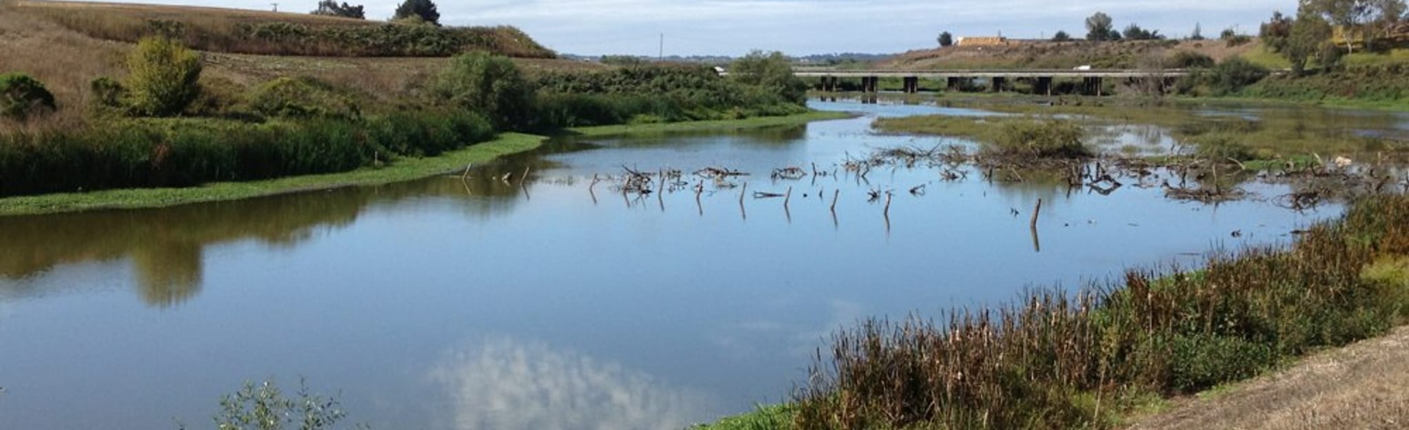 Ohlone Trail: 67 Reviews, Map - California | AllTrails