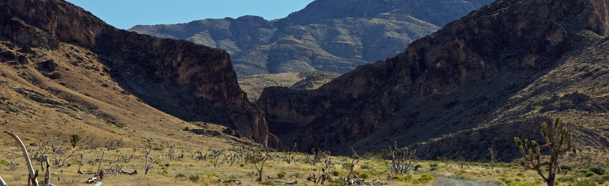 Mojave Desert and Joshua Tree Road Scenic Backway OHV Trail, Utah - 40 ...