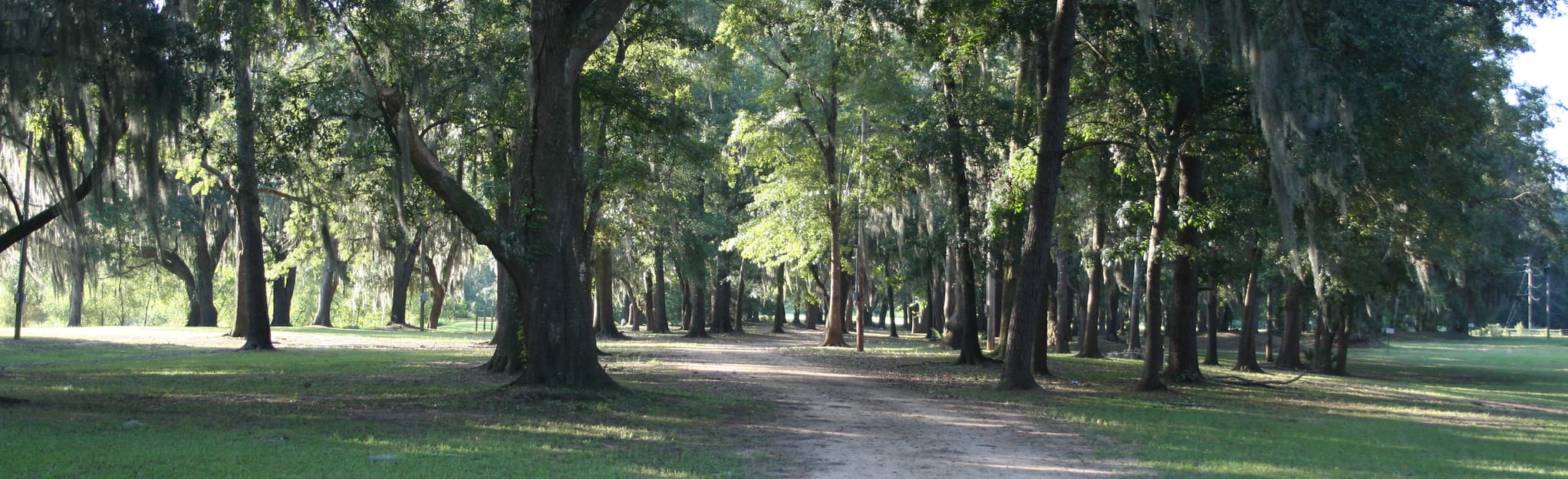 The Muscogee Trail [GESPERRT], 21 Fotos - Florida | AllTrails