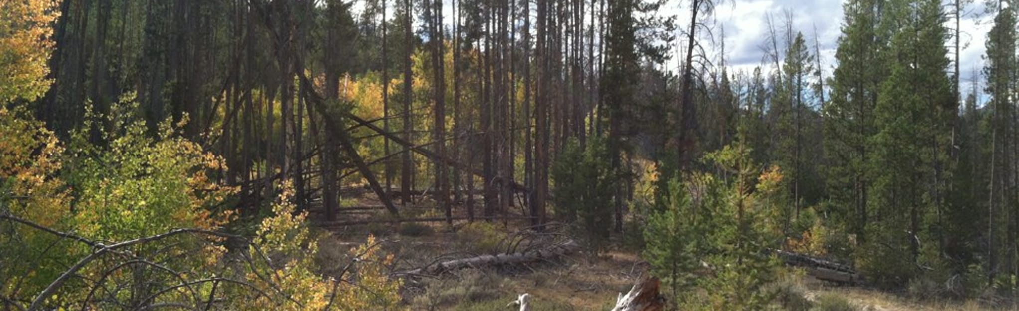 Fisher Creek Loop: 40 Reviews, Map - Idaho | AllTrails
