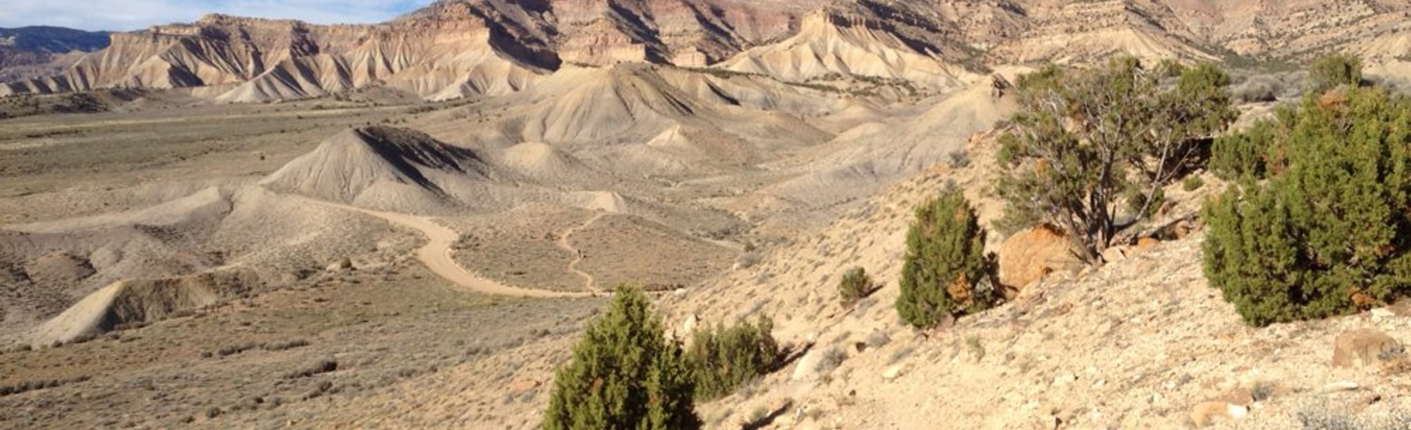 Zippity Do Da Trail: 71 Reviews, Map - Colorado | AllTrails