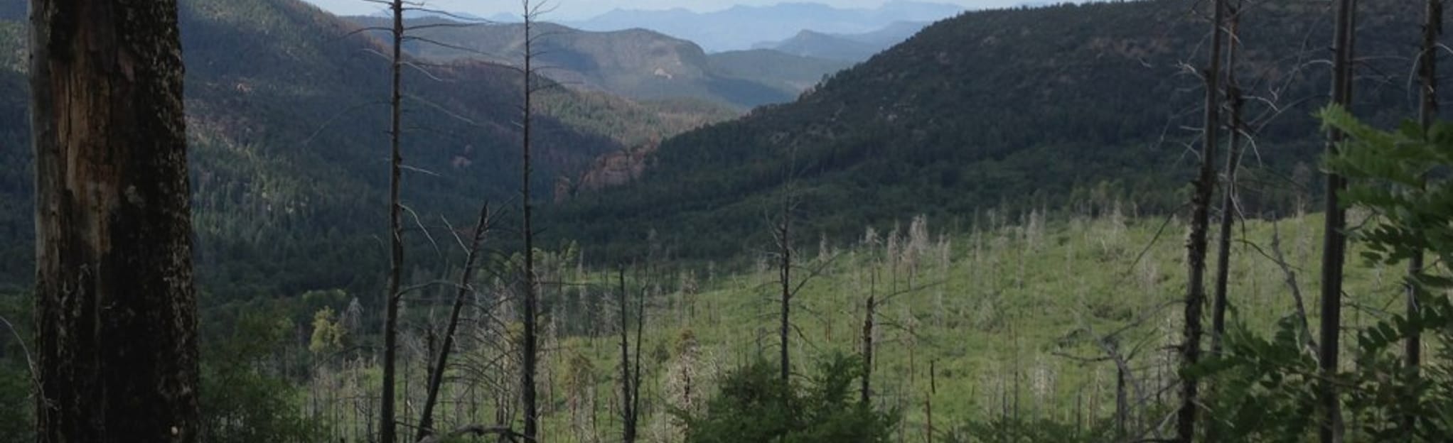 Abby's Way Trail to Aztec Peak Lookout Tower - Arizona | AllTrails