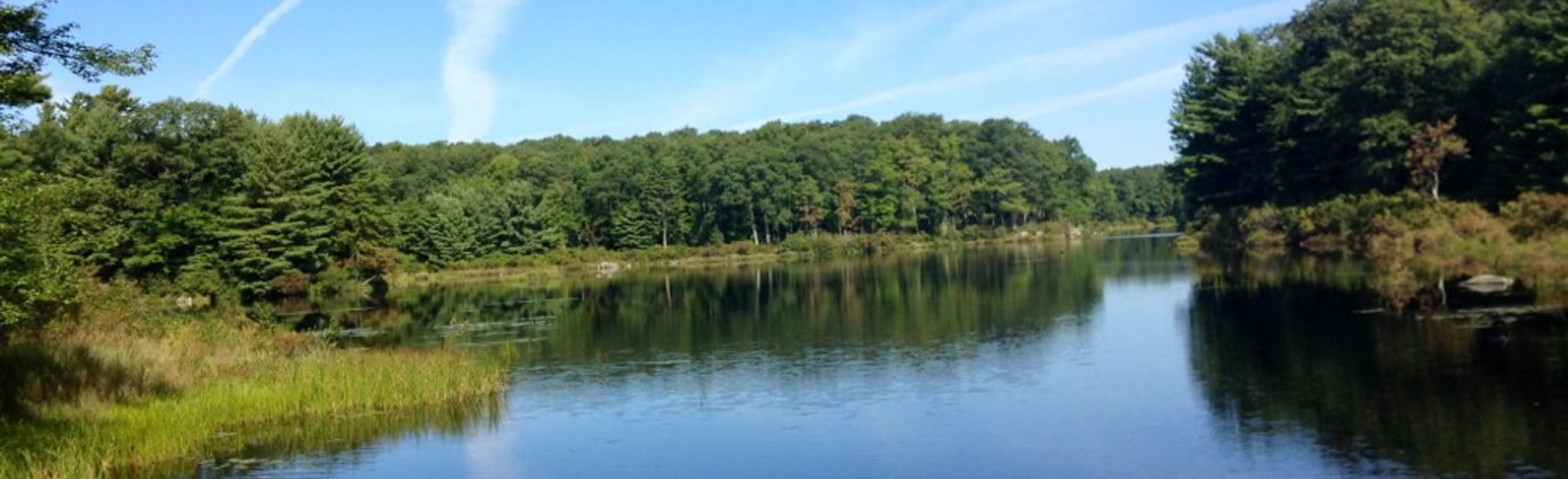 Bruce Lake Trail : 190 Reviews, Map - Pennsylvania | AllTrails