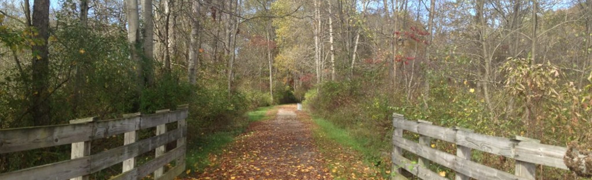 Clarion Little Toby Trail Brockway Trailhead, Pennsylvania - 90 Reviews ...