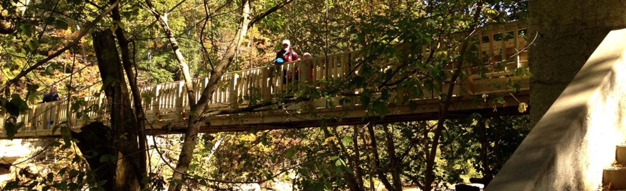 Trail #3 at Turkey Run State Park, Indiana - 1,229 Reviews, Map | AllTrails