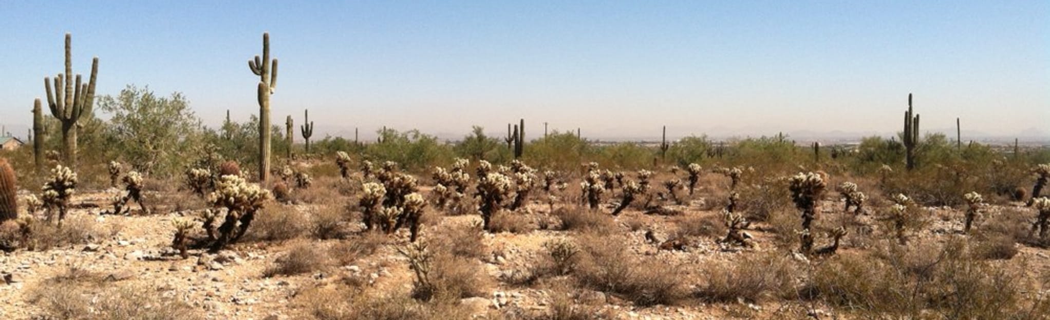 South, Bajada, Mule Deer Loop Trail | Map, Guide - Arizona | AllTrails