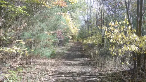 Best Hikes and Trails in Fred Russ State Forest | AllTrails