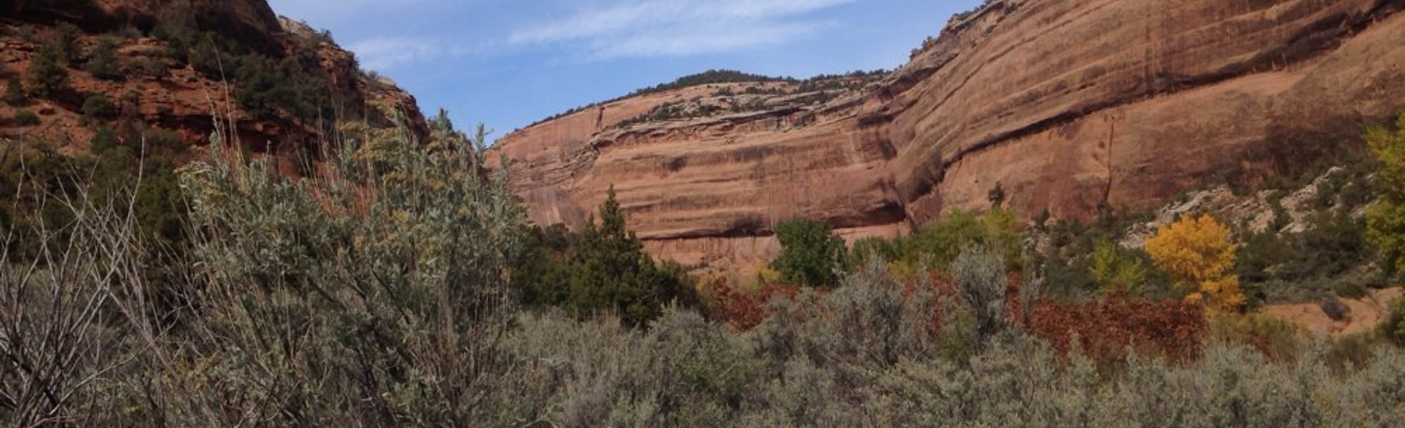 Ute Canyon Trail, Colorado - 131 Reviews, Map | AllTrails