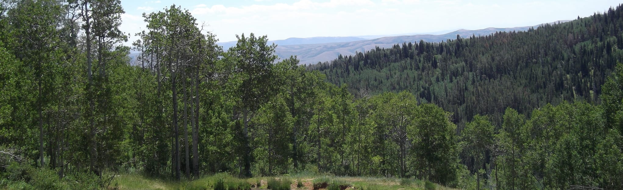 Peter Sinks OHV Trail: 23 Reviews, Map - Utah | AllTrails