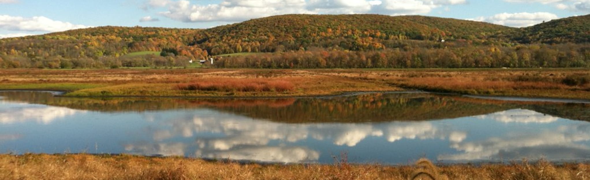 Liberty Loop Trail, New York - 403 Reviews, Map | AllTrails