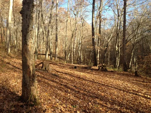 Best Horseback Riding Trails in Mammoth Cave National Park | AllTrails